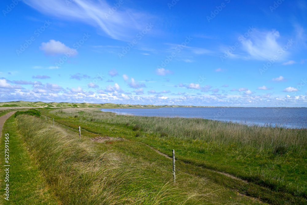 beautiful dune landscape between Harboøre and Thyborøn between the ...