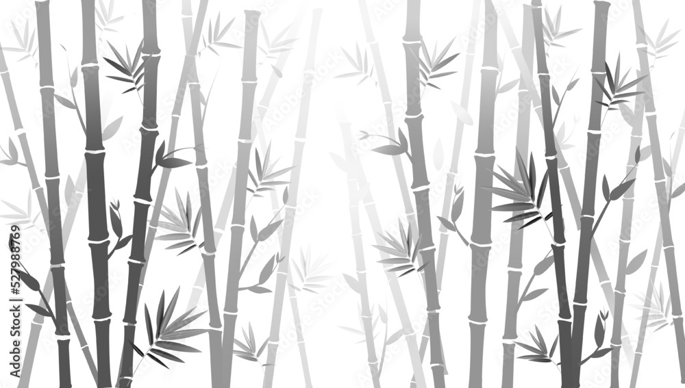 Bamboo forest texture. Bamboo forest silhouette, bamboo plants with ...