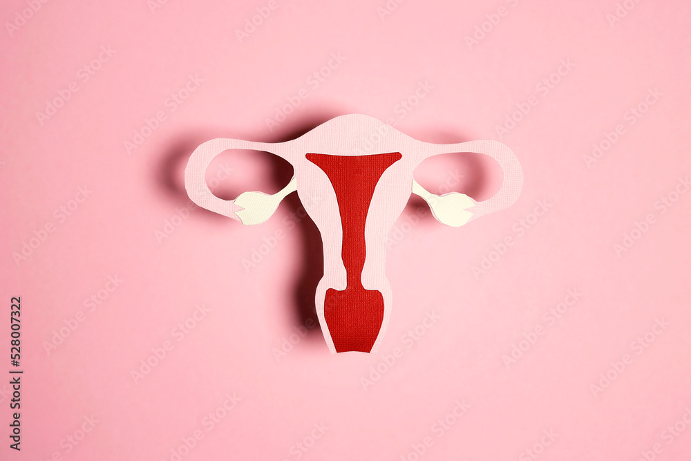 Uterus symbol on pink background. Stock Photo | Adobe Stock