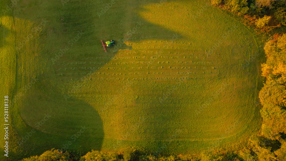 AERIAL, TOP DOWN: Farm tractor with hay tedder turning over mowed hay ...