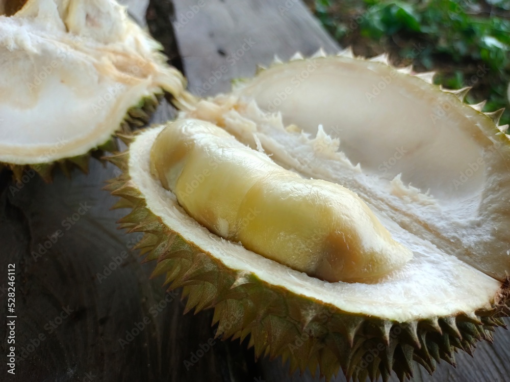 durian fruit With a soft and melted texture with a thorny skin. durian ...