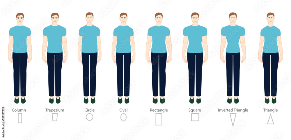 Set of Men body shape types: triangle, column, trapezium, circle, oval ...
