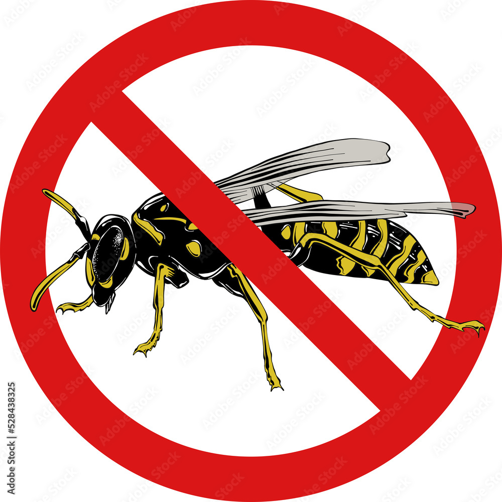 Illustration Stock PNG hand drawn engraved isolated illustration of ...