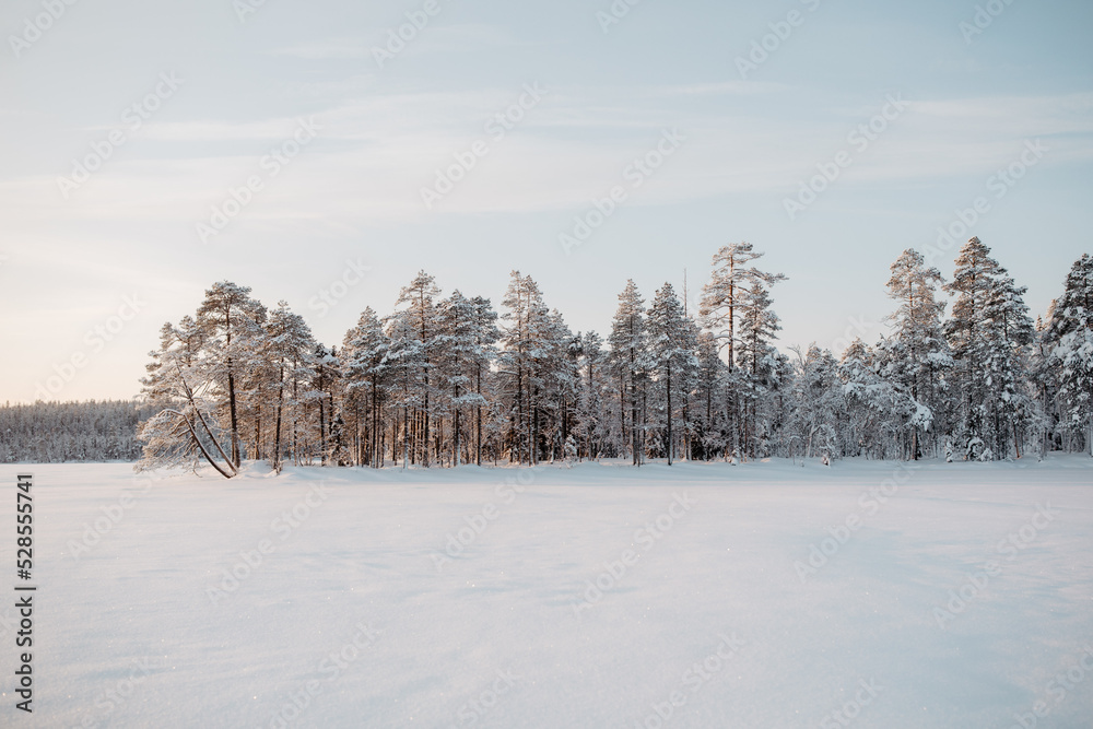 Foto frozen lake view in finland rovaniemi with frost on trees perfect ...