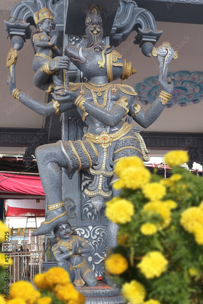 Varaha is an Indian god, an Avatar of Lord Vishnu. Sculpture in a Hindu ...