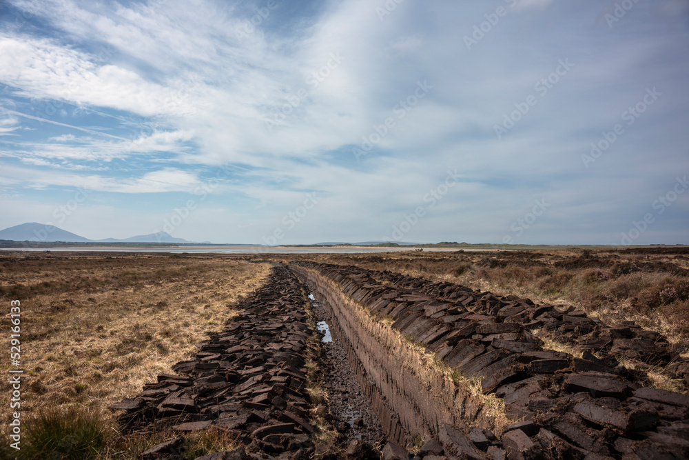 Hand-cut peat drying in the sun and the wind, next to the trench. Later ...