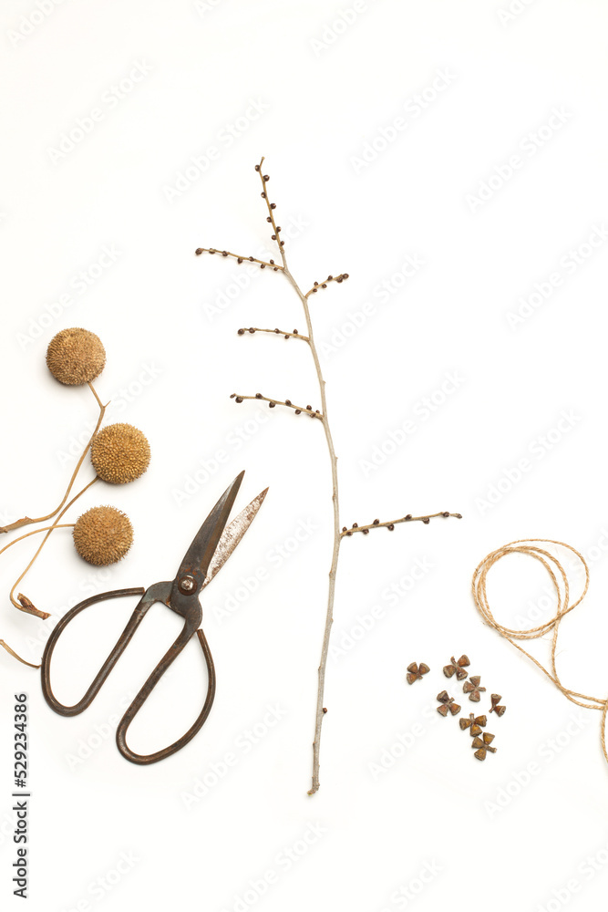 Ramita seca junto a una tijera e hilo sisal sobre un fondo blanco liso ...