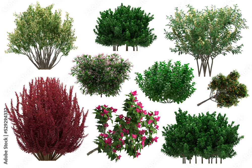 Стокова ілюстрація Pack of PNG vegetation. Flowering bushes. Made from ...