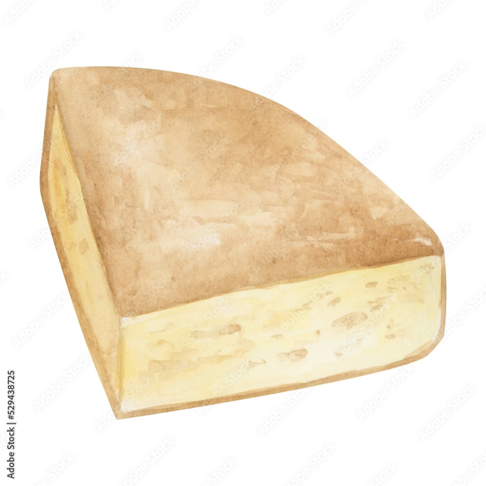 Cheese watercolor illustration. Hand drawn food clipart element Stock ...