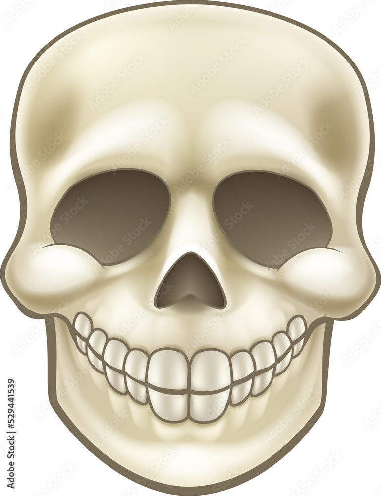 Cartoon Skull Illustration Stock Illustration | Adobe Stock