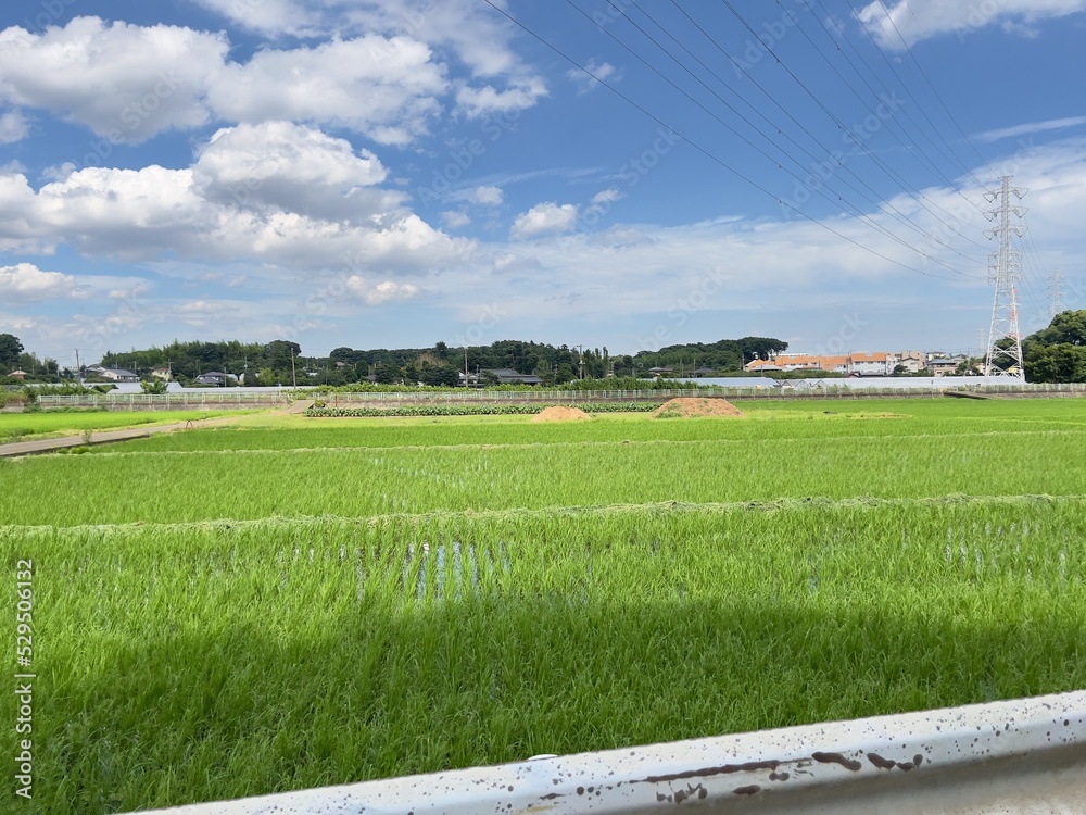 Paddy fields for rice in rural Japan. A paddy field before the water is ...
