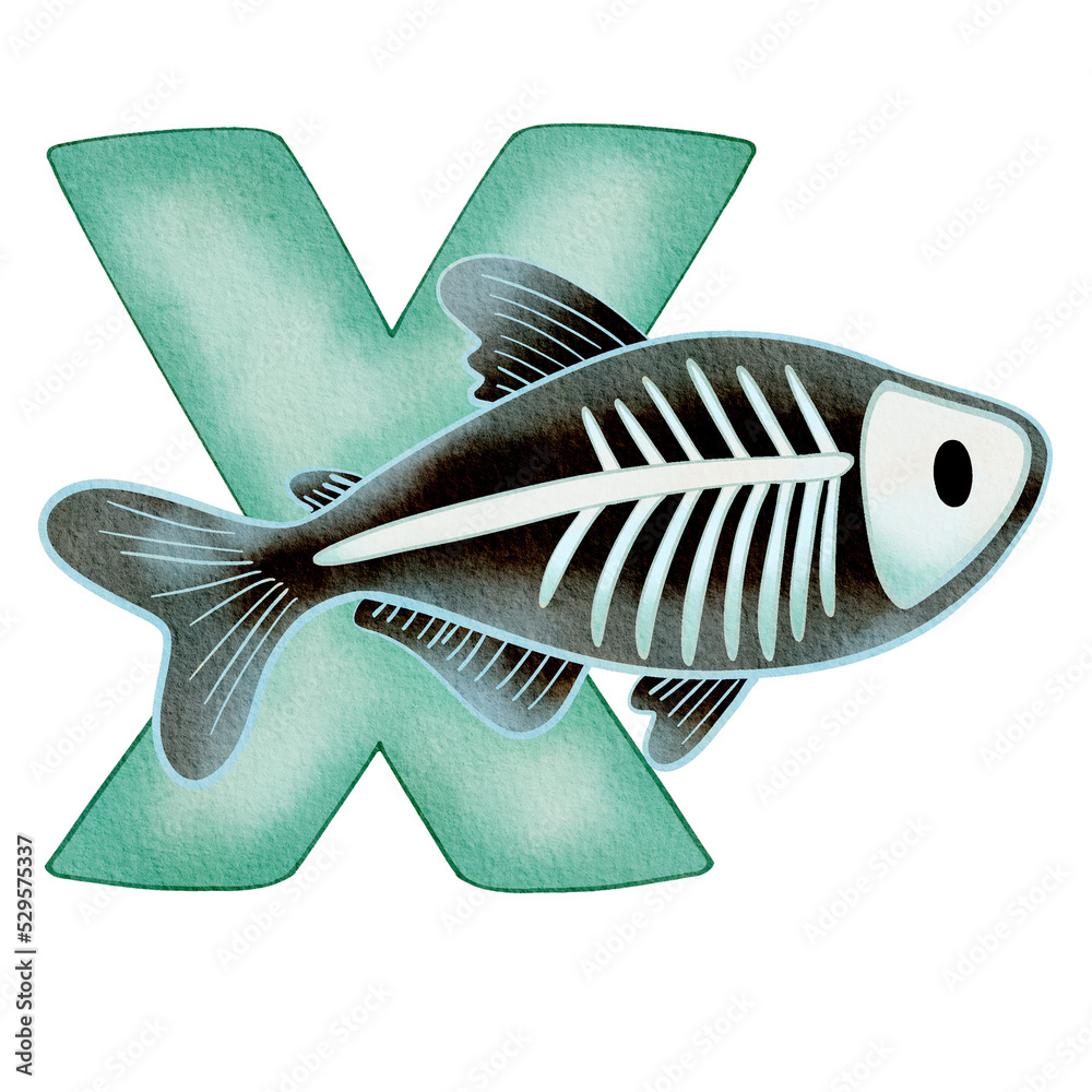 x-ray fish alphabet isolated on a transparent background. With the ...