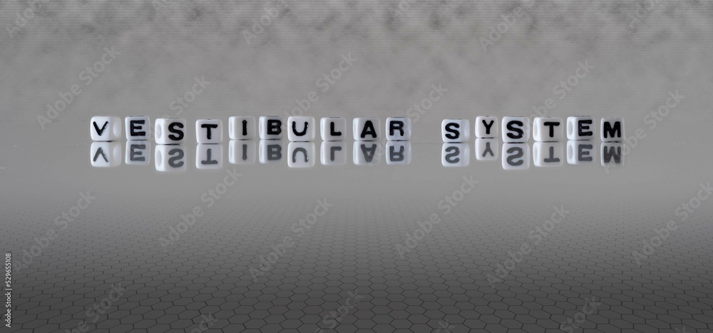 vestibular system word or concept represented by black and white letter ...