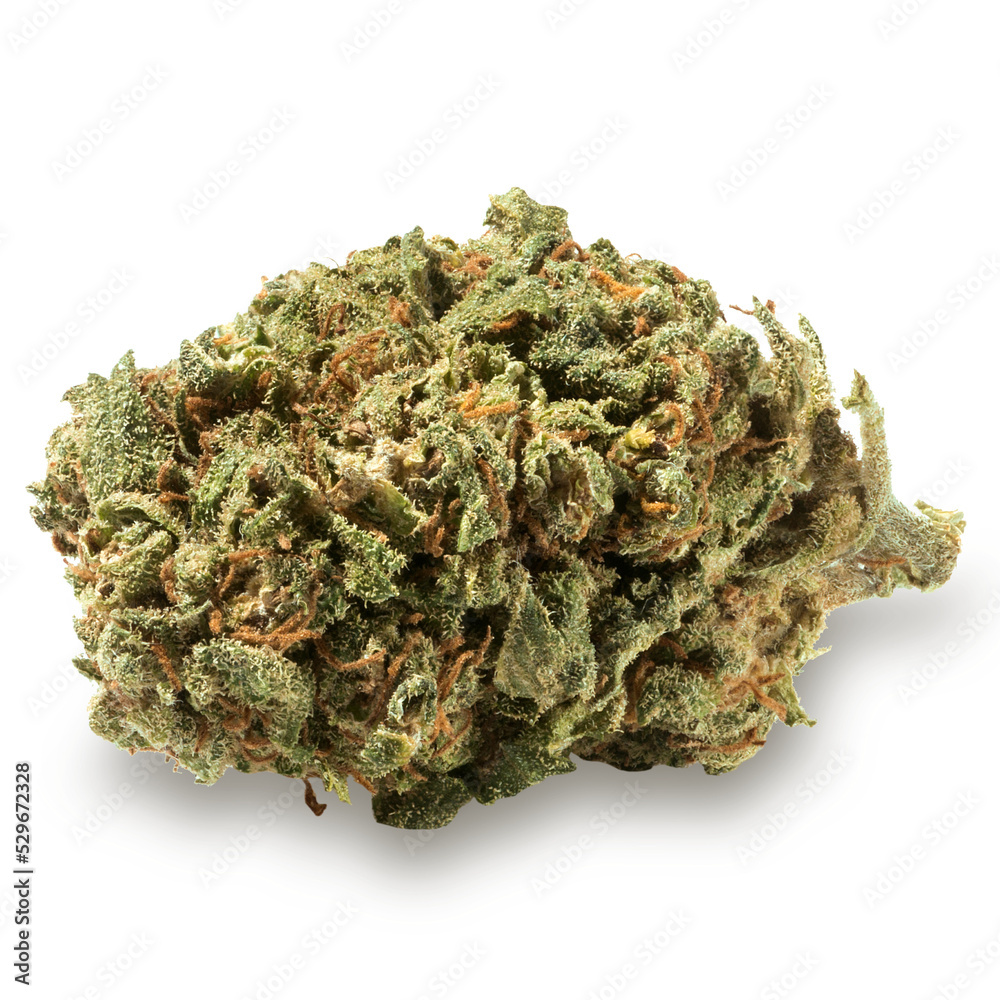Cannabis png Stock Photo | Adobe Stock