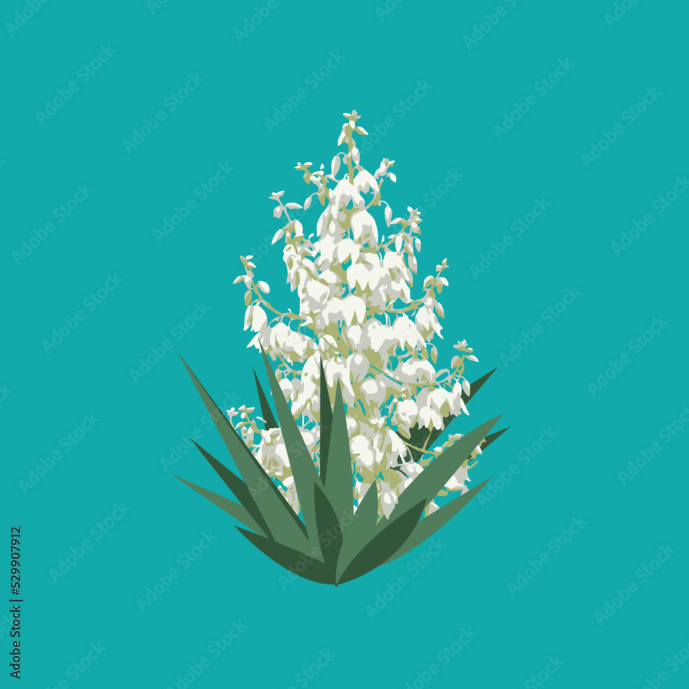 Vector de Stock VECTORS. White flower known as Yucca flower or Flor de ...