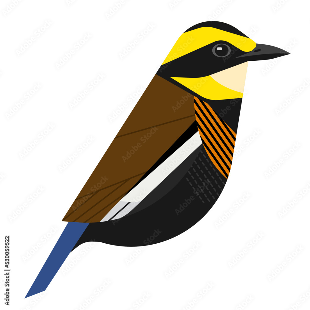 illustration of a Malayan Banded Pitta Bird ,vector , png , svg , jpeg ...
