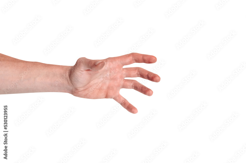 Realistic human hand showing gesture. White skin man arm isolated on ...