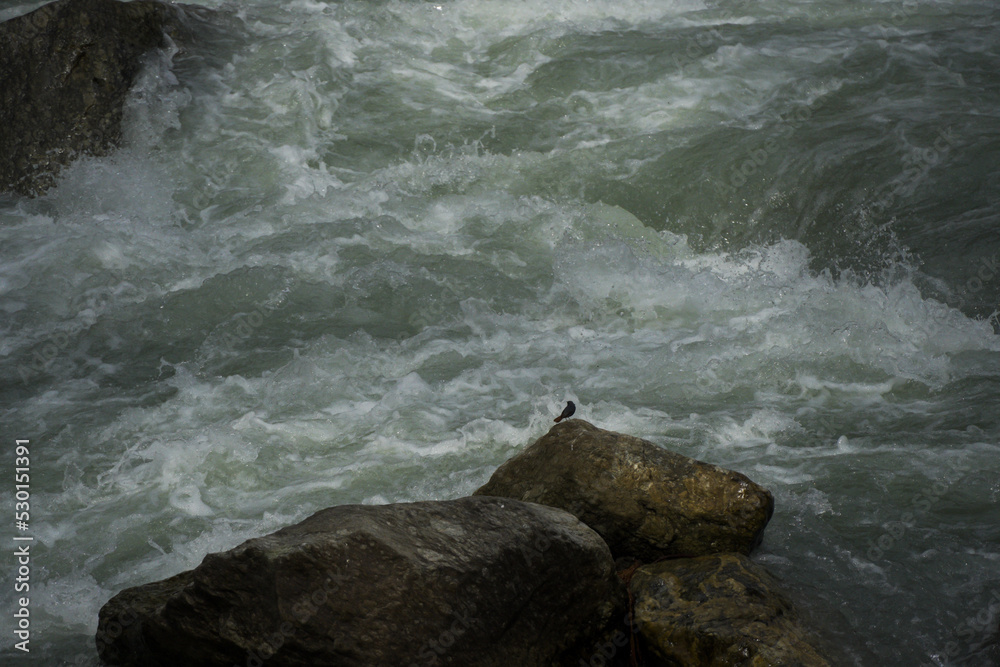 Raging flow of roaring Thamsa river inside and along the way to the har ...