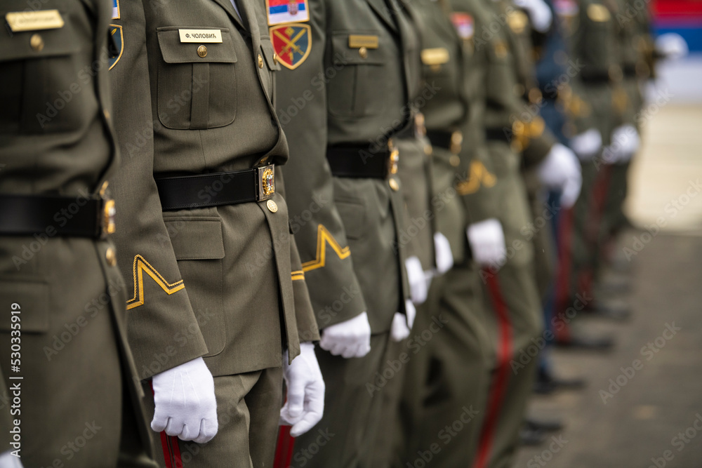 Serbian guard soildiers lined for ceremony. Members of the guard of ...
