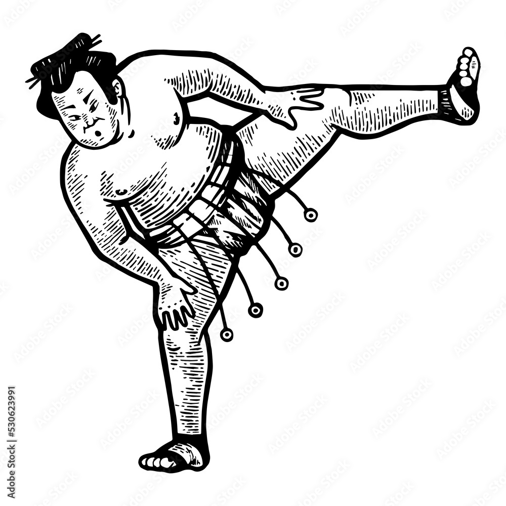 Sumo wrestler sketch engraving PNG illustration with transparent ...