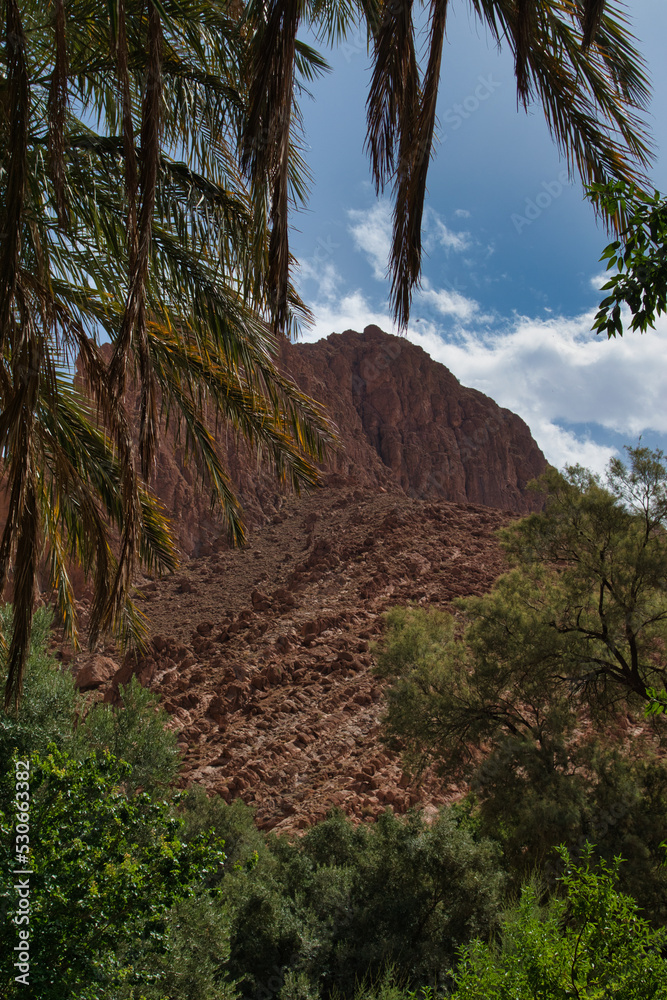 Todra gorge in Morocco, red rocks in Morocco, exploring the gorge ...