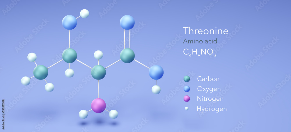 threonine, molecular structures, amino acid, 3d model, Structural ... threonine, molecular structures, amino acid, 3d model, Structural ...