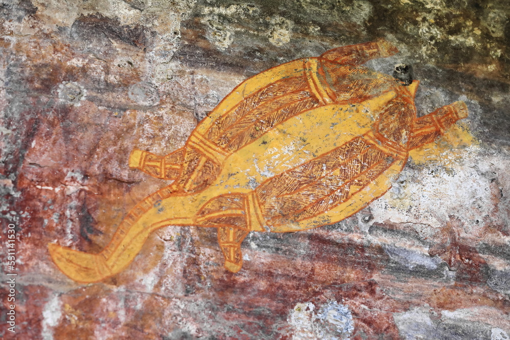 Aboriginal rock art-Almangiyi long neck turtle in X-ray style. Ubirr-Kakadu-Australia-177 Stock ...