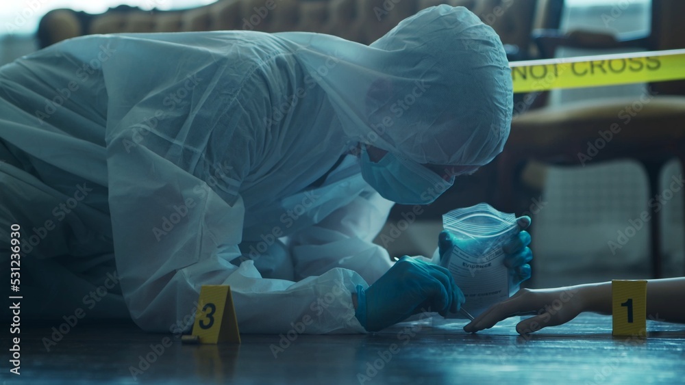 Detective Collecting Evidence in a Crime Scene. Forensic Specialists ...