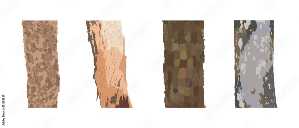 illustration of biology and plant kingdom, Tree Bark Texture, Bark is ...