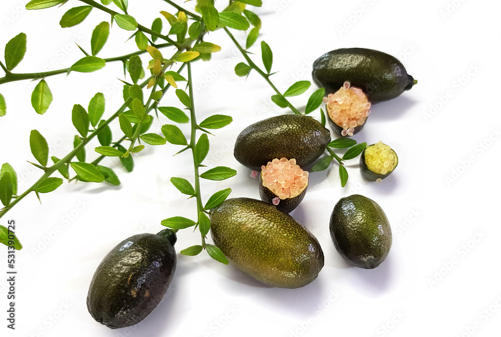 Edible fruits of Citrus australasica, the Australian finger lime or ...