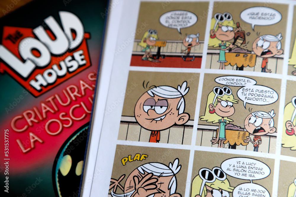 Comic book from the television series The Loud House. Lincoln and his ...