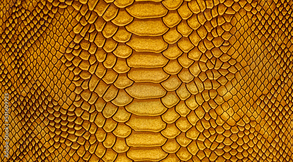 Beautiful yellow, gold bright snake or crocodile skin, reptile skin ...