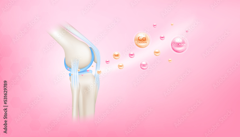 Vetor Calcium and minerals calcium absorbed into the bone cartilage ...
