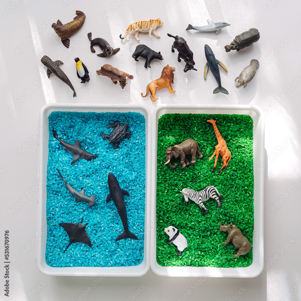 Ocean and land sensory sorting activity. Green and blue colored rice in ...