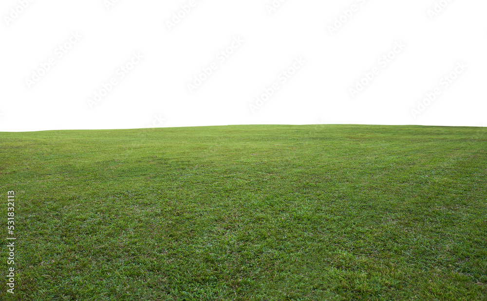 Green grass field background Stock Photo | Adobe Stock