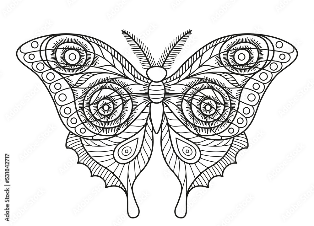 Vector coloring book page. Silhouette of elegant butterfly or moth in ...