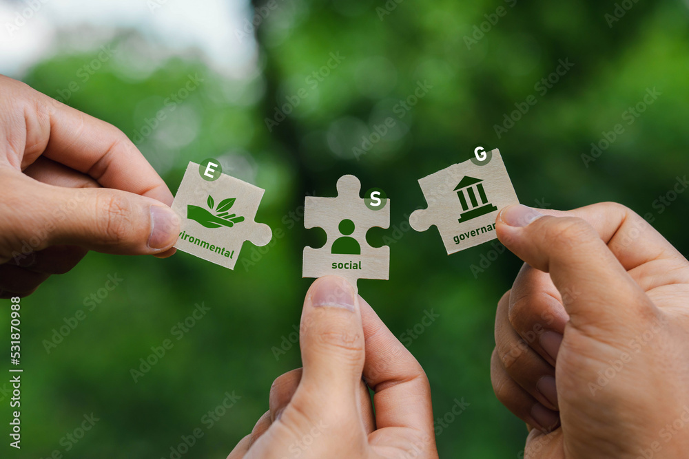 ESG Concepts on Environment, Society and Governance In hand holding ...
