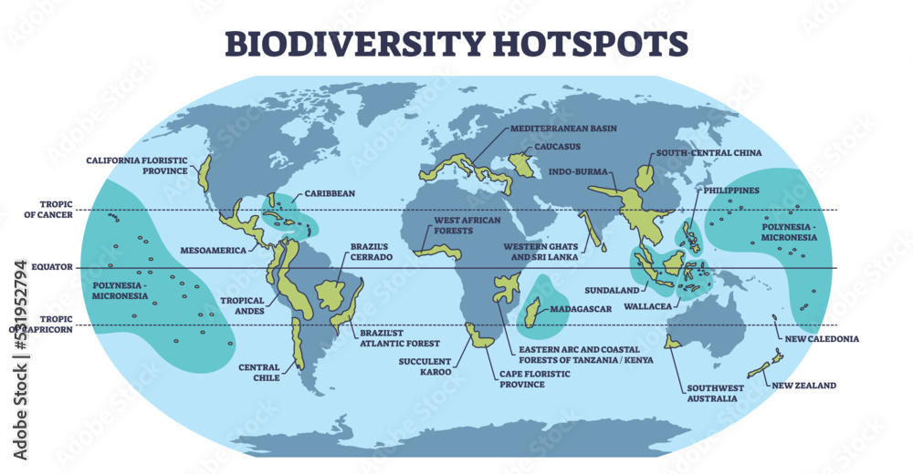 Vector de Stock Biodiversity hotspots with life species variety on ...