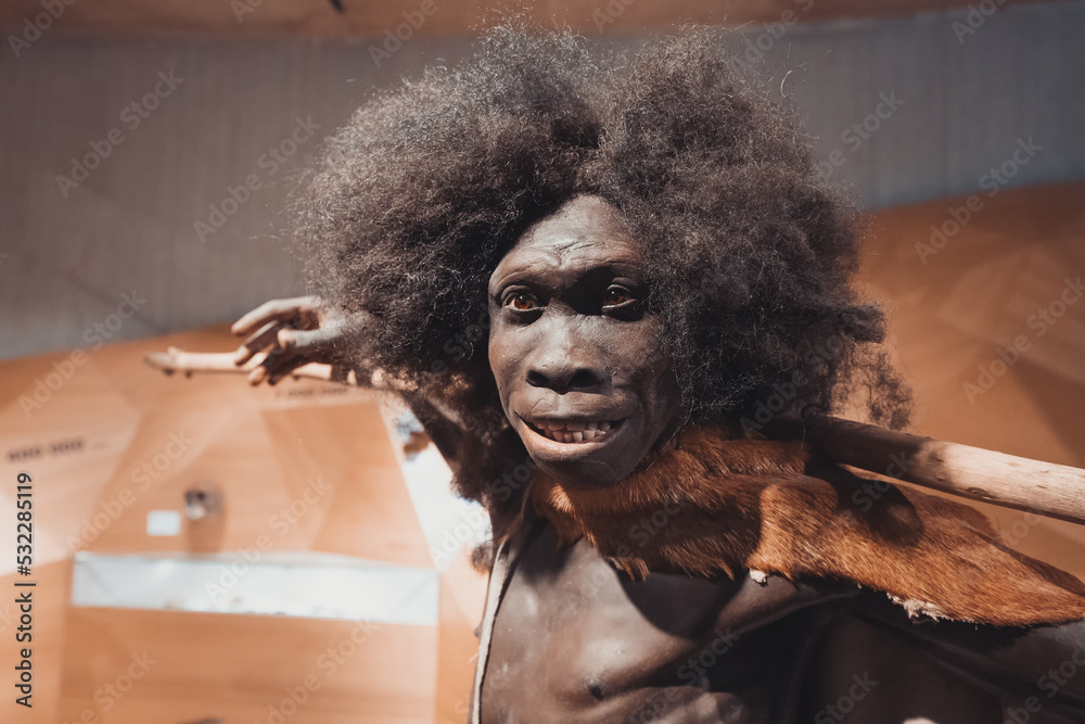 22 July 2022, Neanderthal museum, Germany: Detailed wax figure of a ...
