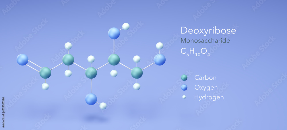 deoxyribose, molecular structures, monosaccharide, 3d model, Structural ...
