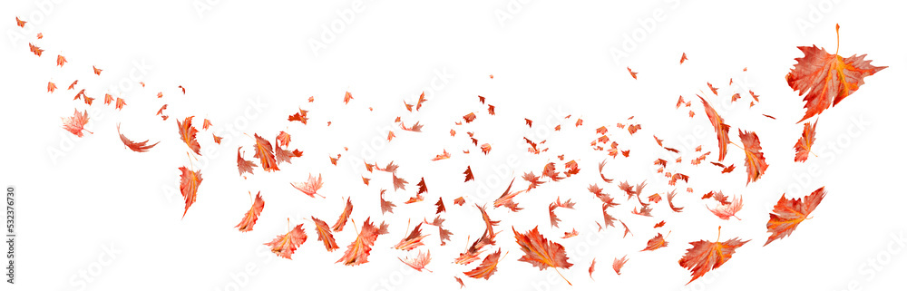 leaves autumn air wind isolated dry for background flying falling fall ...