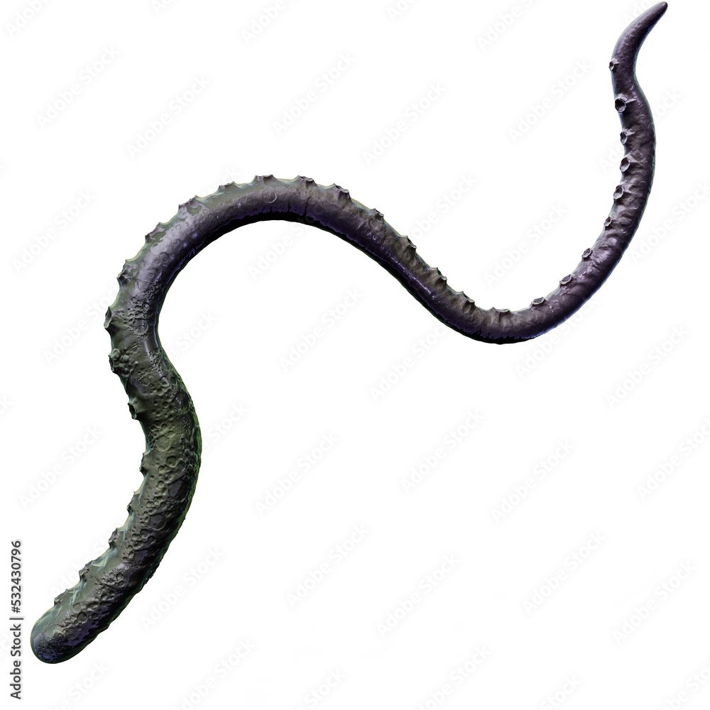 Tentacle CG Illustration with PNG Transparent Background Stock Illustration | Adobe Stock