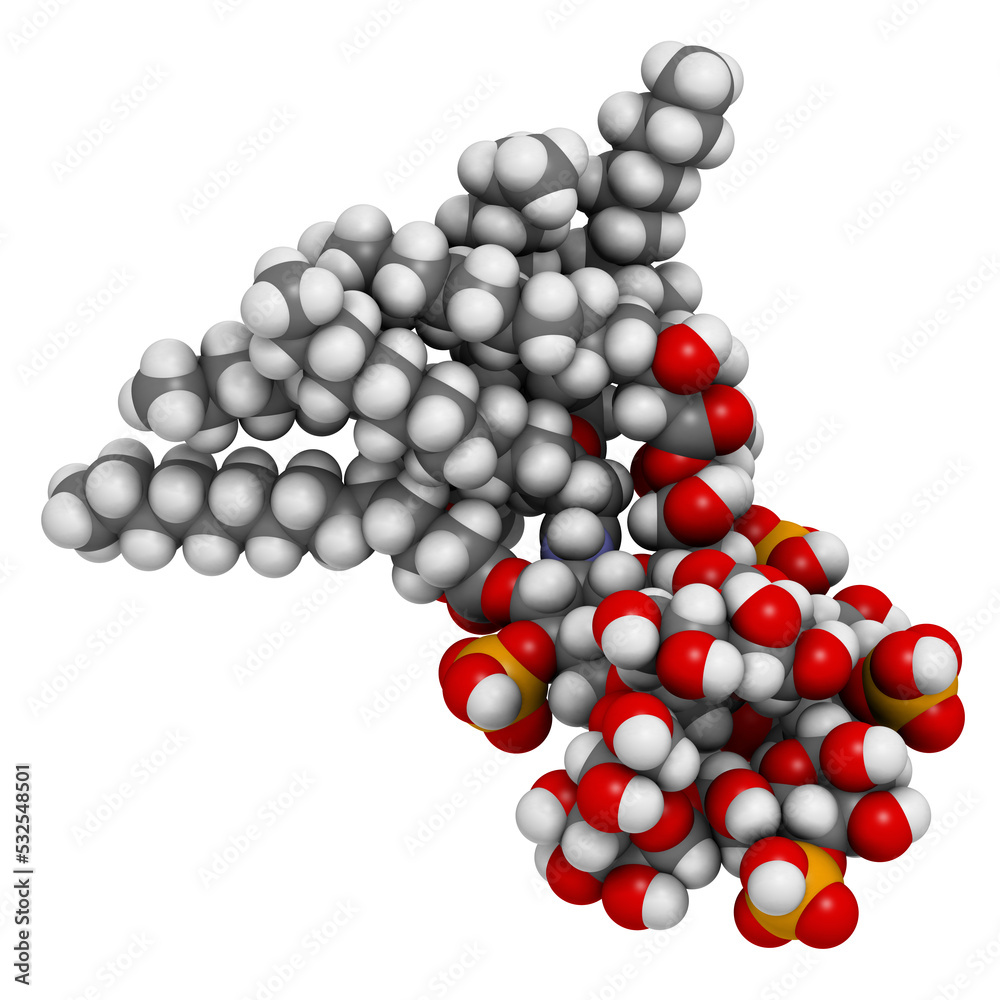 Lipopolysaccharide (LPS, lipid A and inner core fragment) endotoxin ...