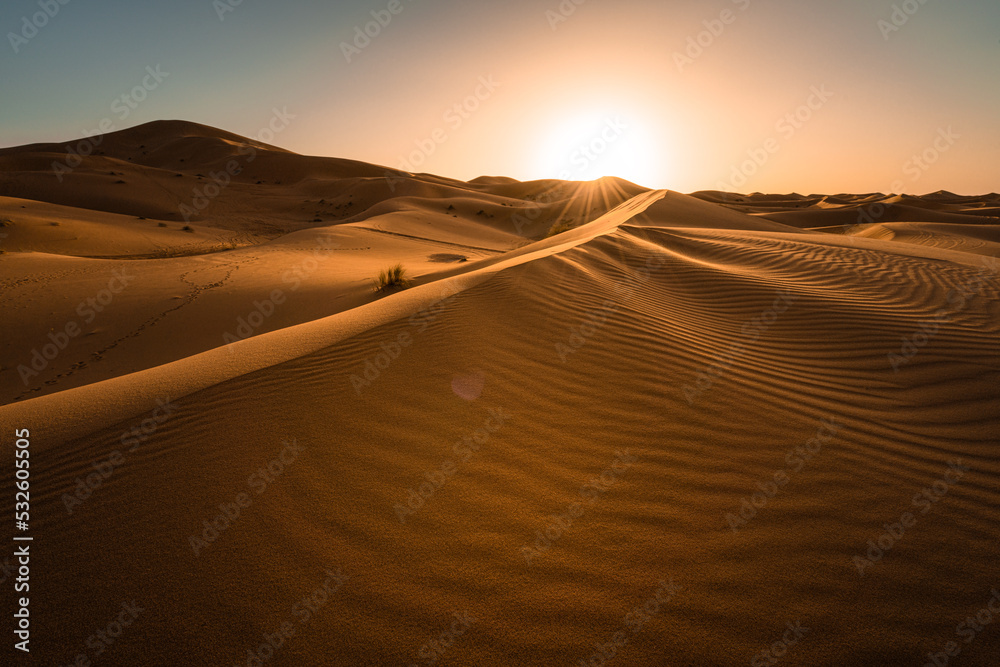 Sahara Desert at sunrise Stock Photo | Adobe Stock