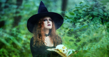 Green Witch Portrait Free Stock Photo - Public Domain Pictures