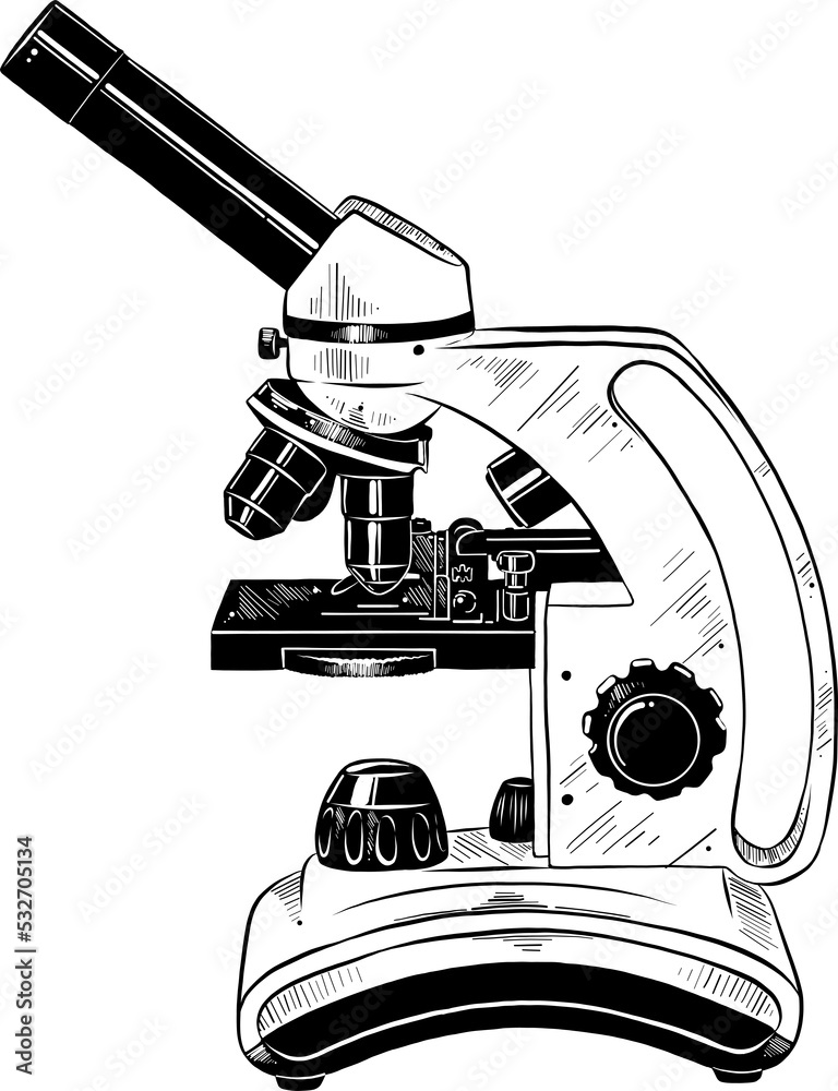 PNG engraved style illustration for posters, decoration and print. Hand ...