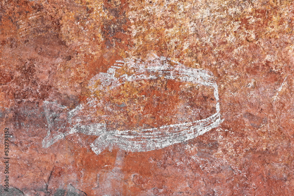 Aboriginal rock art: beheaded fish outlined in white-Namarrgarn Sisters ...