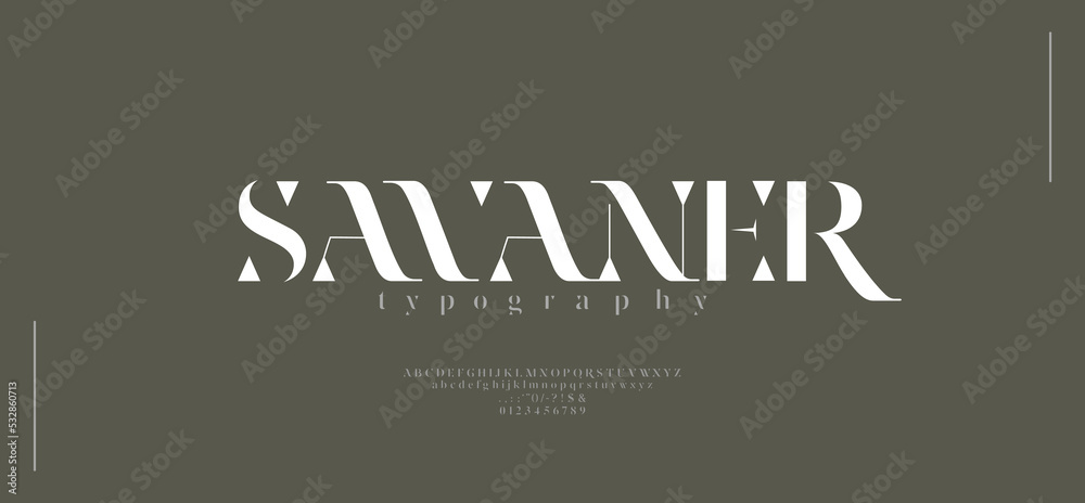 Luxury alphabet letters font. Typography Elegant classic serif fonts ...
