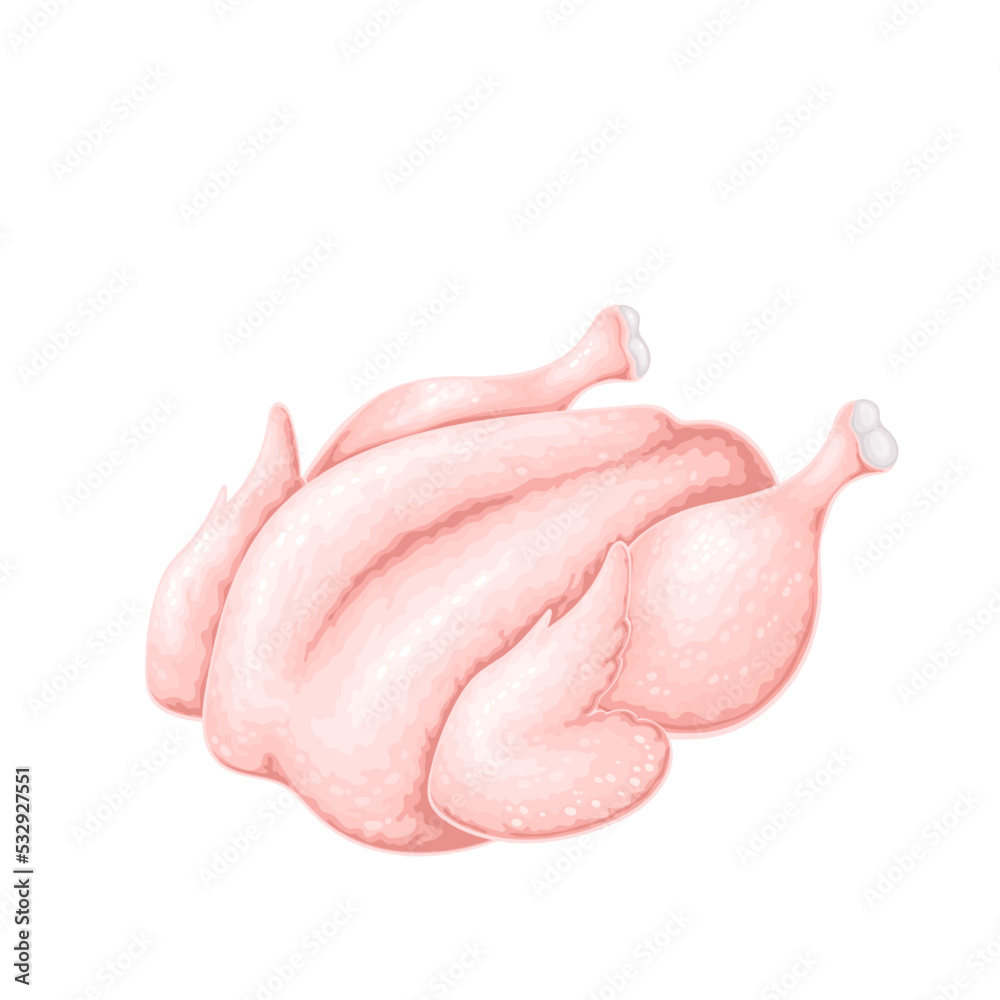 Whole raw chicken vector illustration. Cartoon isolated fresh organic ...