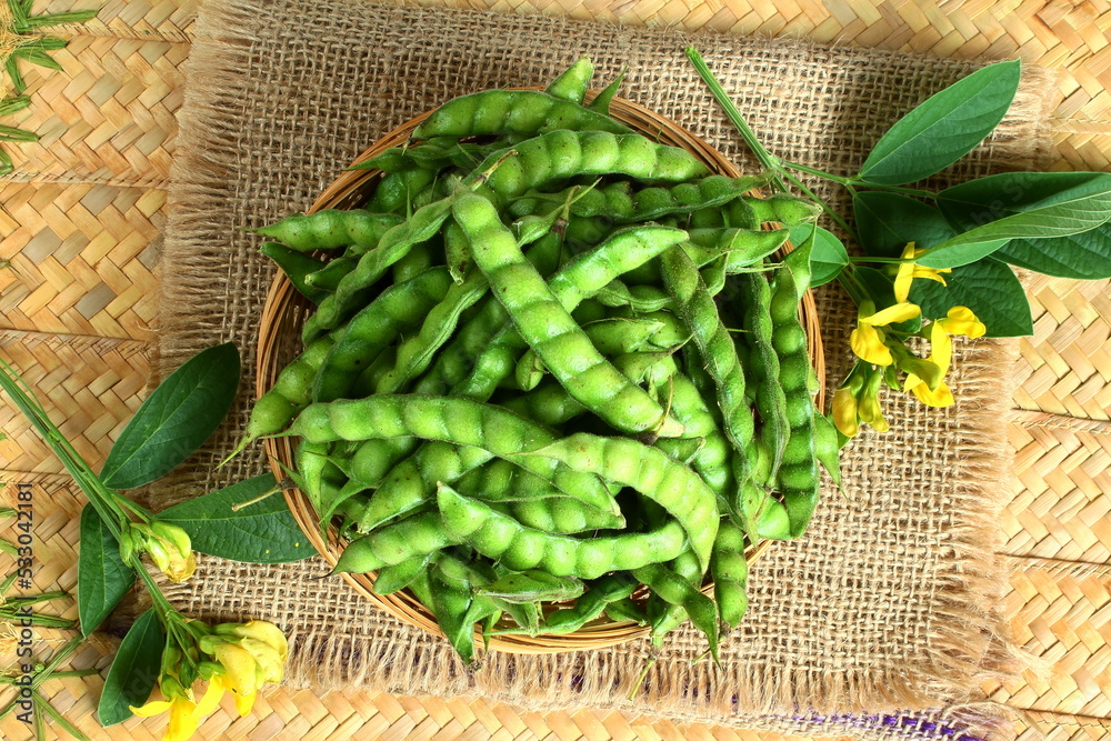 Foto de Stock garden fresh whole green pigeon peas beans pod in basket ...